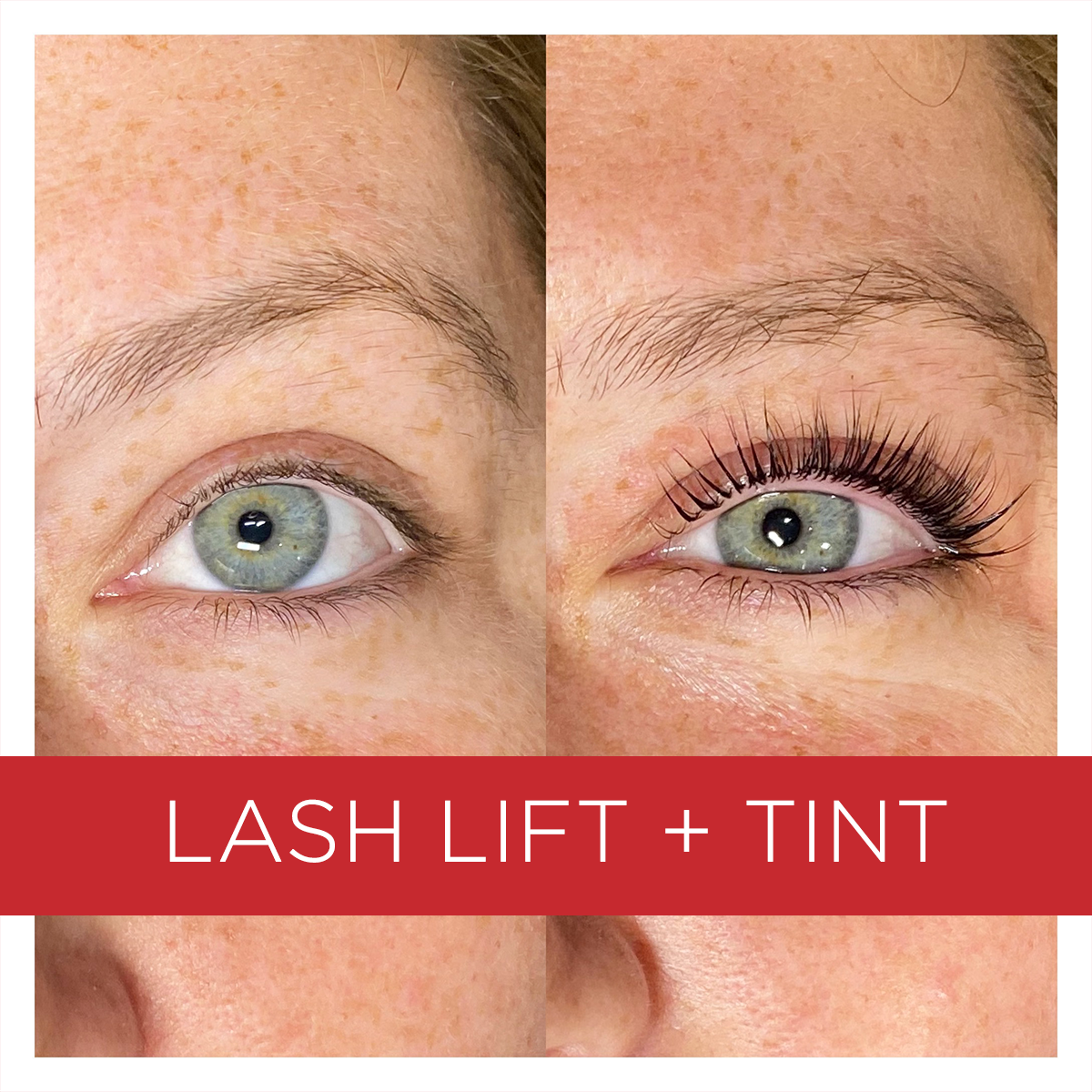 Lash + Brow Services